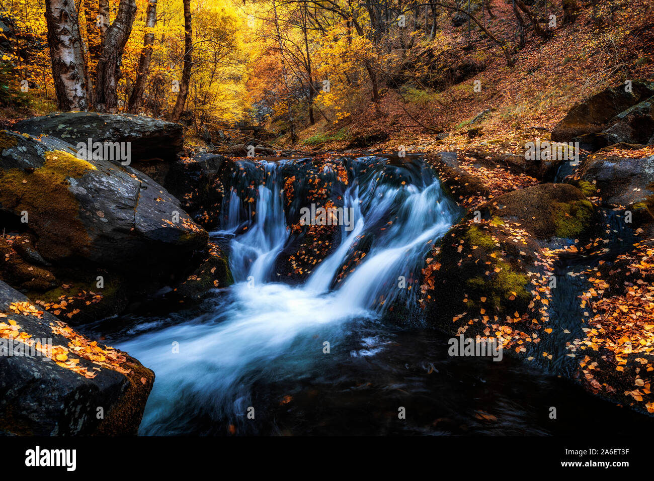 Autumn mountain colors of Old River ( Stara reka ) , located at Central ...