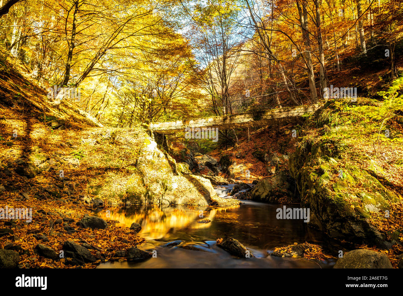 November scenery hi-res stock photography and images - Alamy