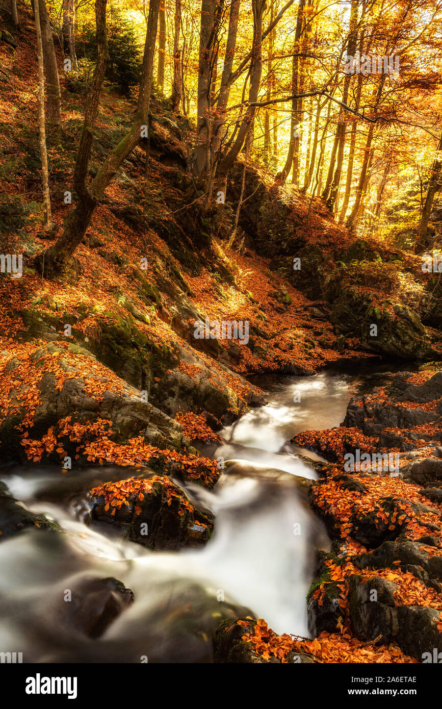 Autumn mountain colors of Old River ( Stara reka ) , located at Central ...