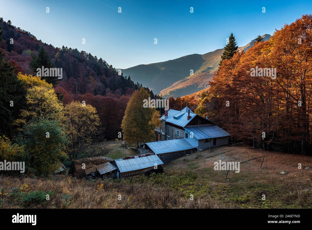 Beautiful landscape in bulgaria forest hi-res stock photography and ...