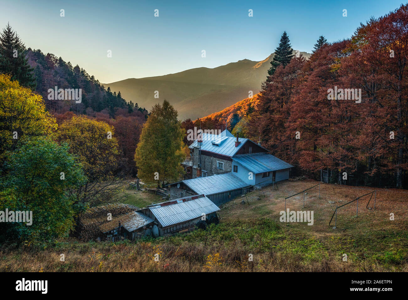 Beautiful landscape in bulgaria forest hi-res stock photography and ...