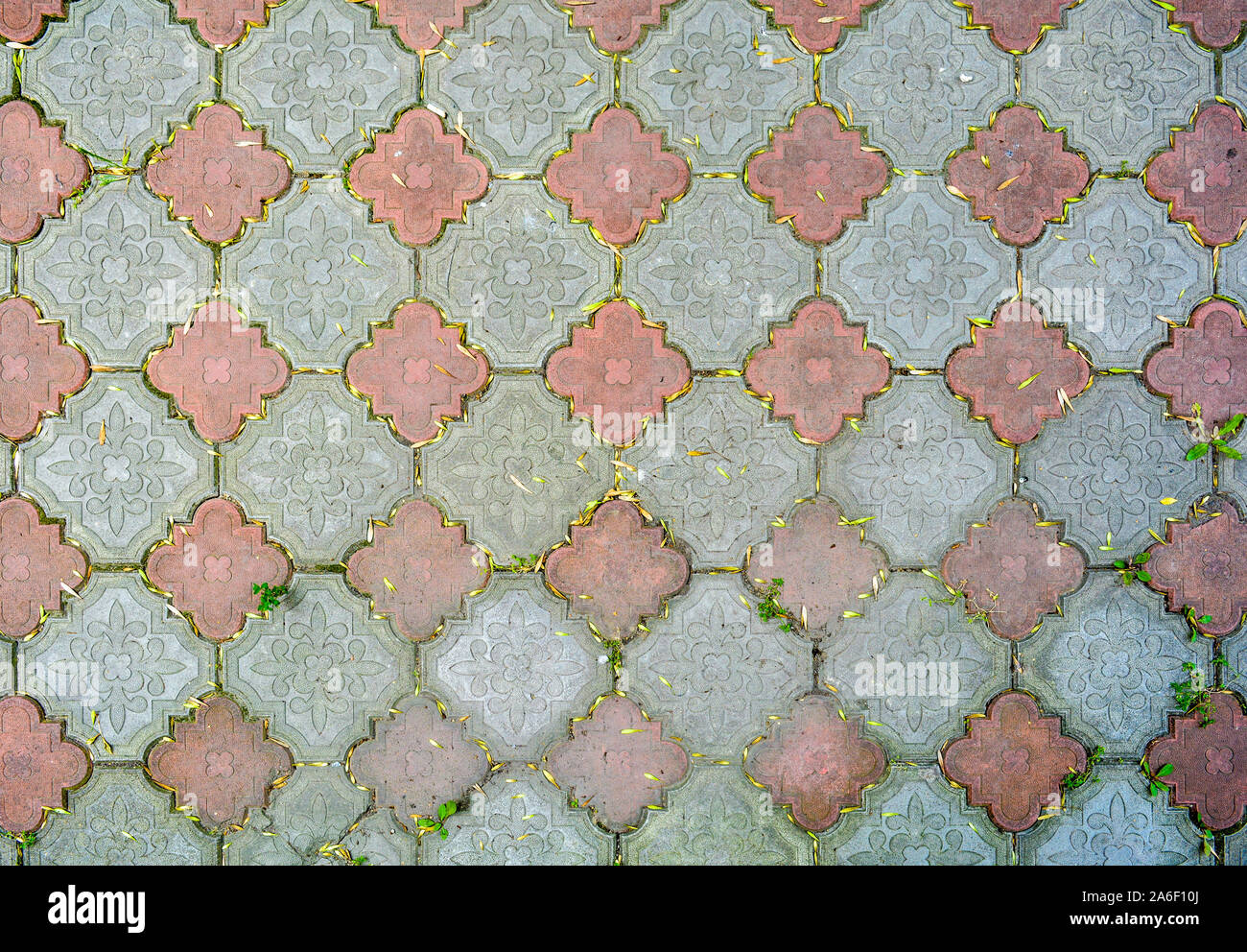 Red and gray road tiles on city street pavement with growing grass in ...