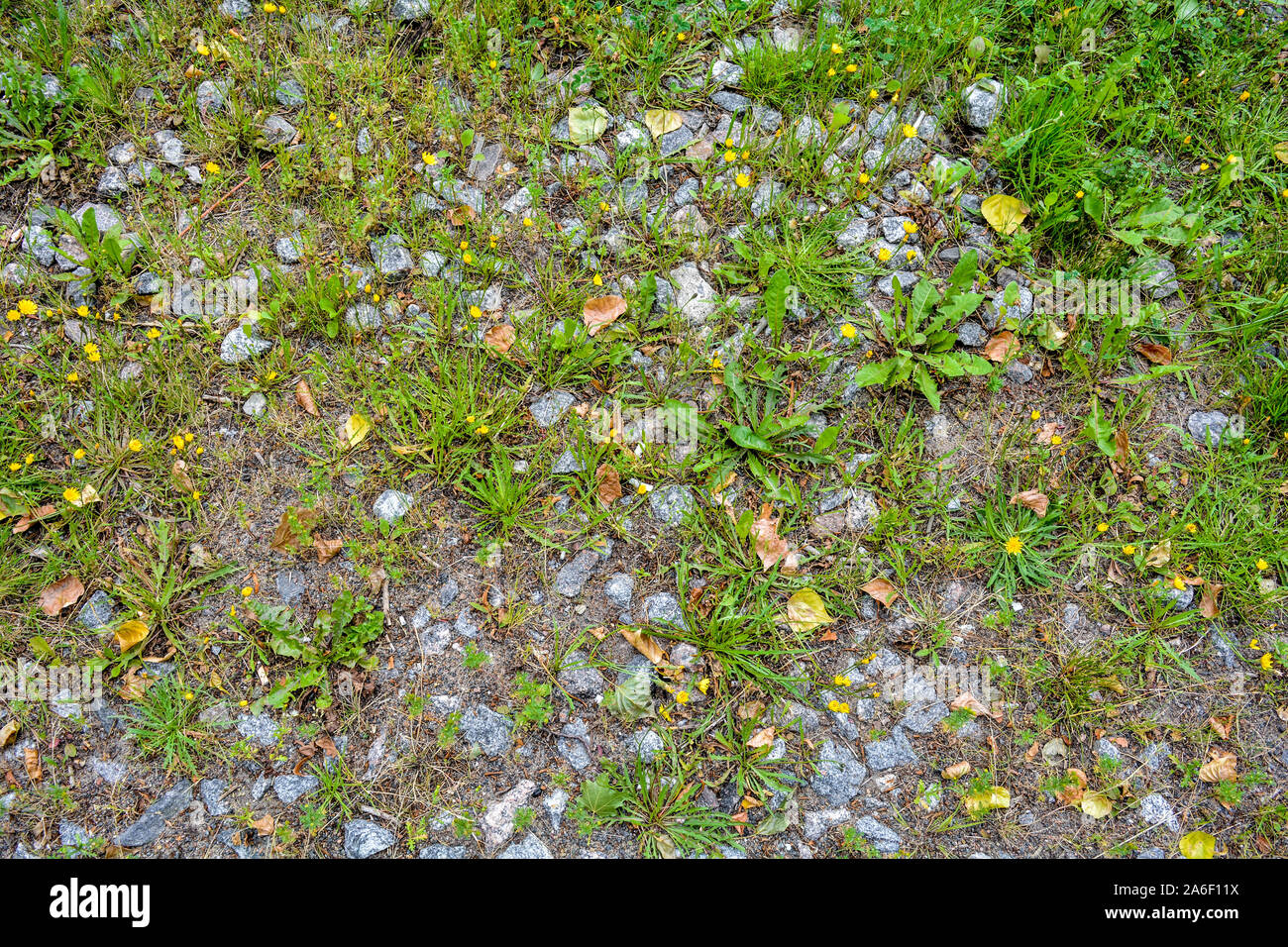 Grass growing through rubble hi-res stock photography and images - Alamy