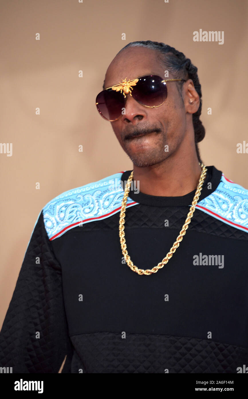 HOLLYWOOD, CALIFORNIA - JULY 22: Snoop Dogg attends the Sony Pictures ...