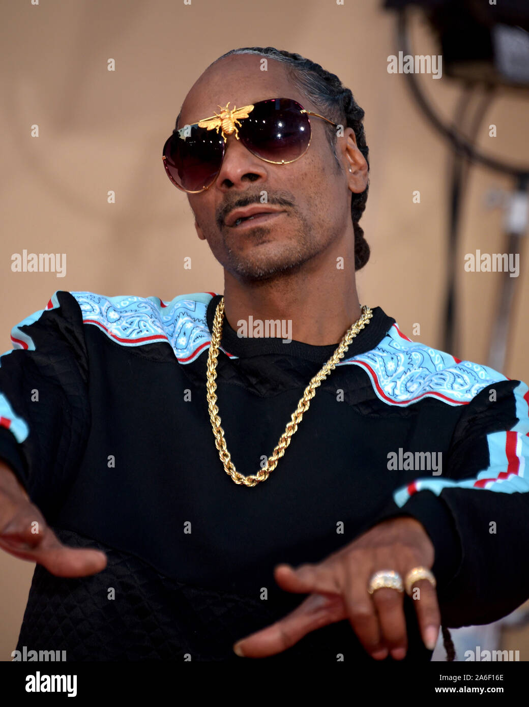 HOLLYWOOD, CALIFORNIA - JULY 22: Snoop Dogg attends the Sony Pictures ...