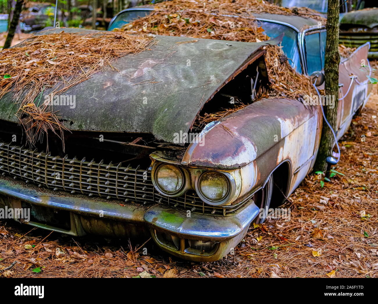 Old junk car hi-res stock photography and images - Alamy