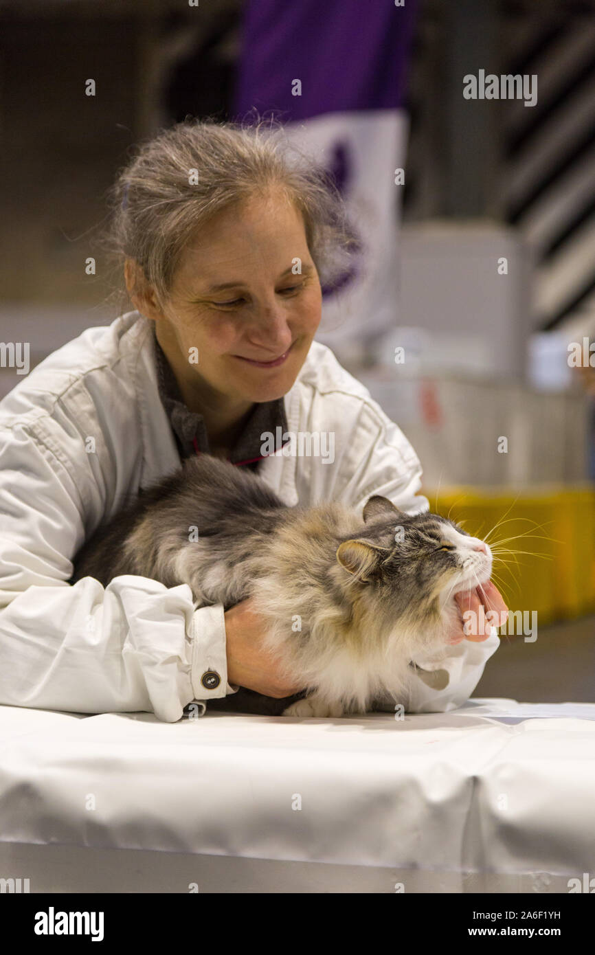 Birmingham, UK. 26th October 2019. Hundred of cats and their owners ...