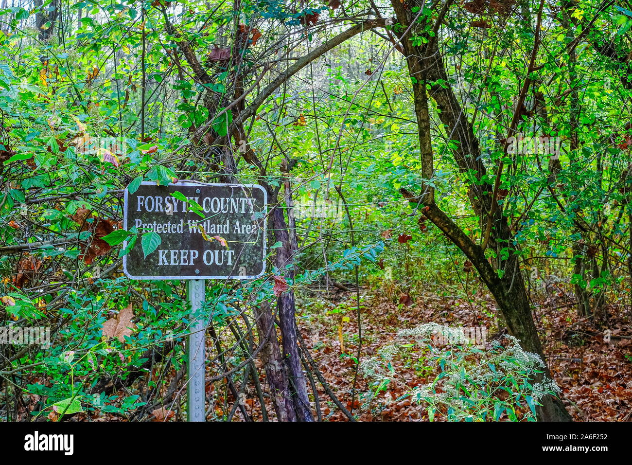 Protected Wetland Area Keep Out Sign in Forest Stock Photo - Alamy