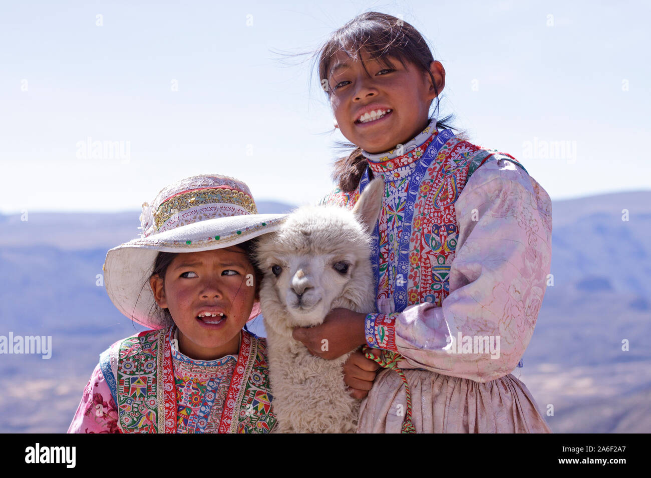Two young girls are posing with an Alpaca near Arequipa in Peru Stock ...