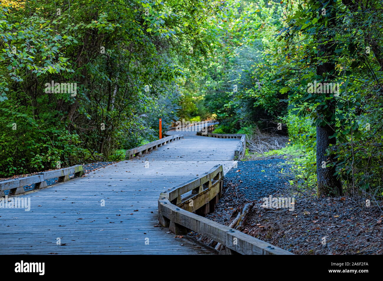Wood Walking Trail Disappearing into Distance Stock Photo - Alamy