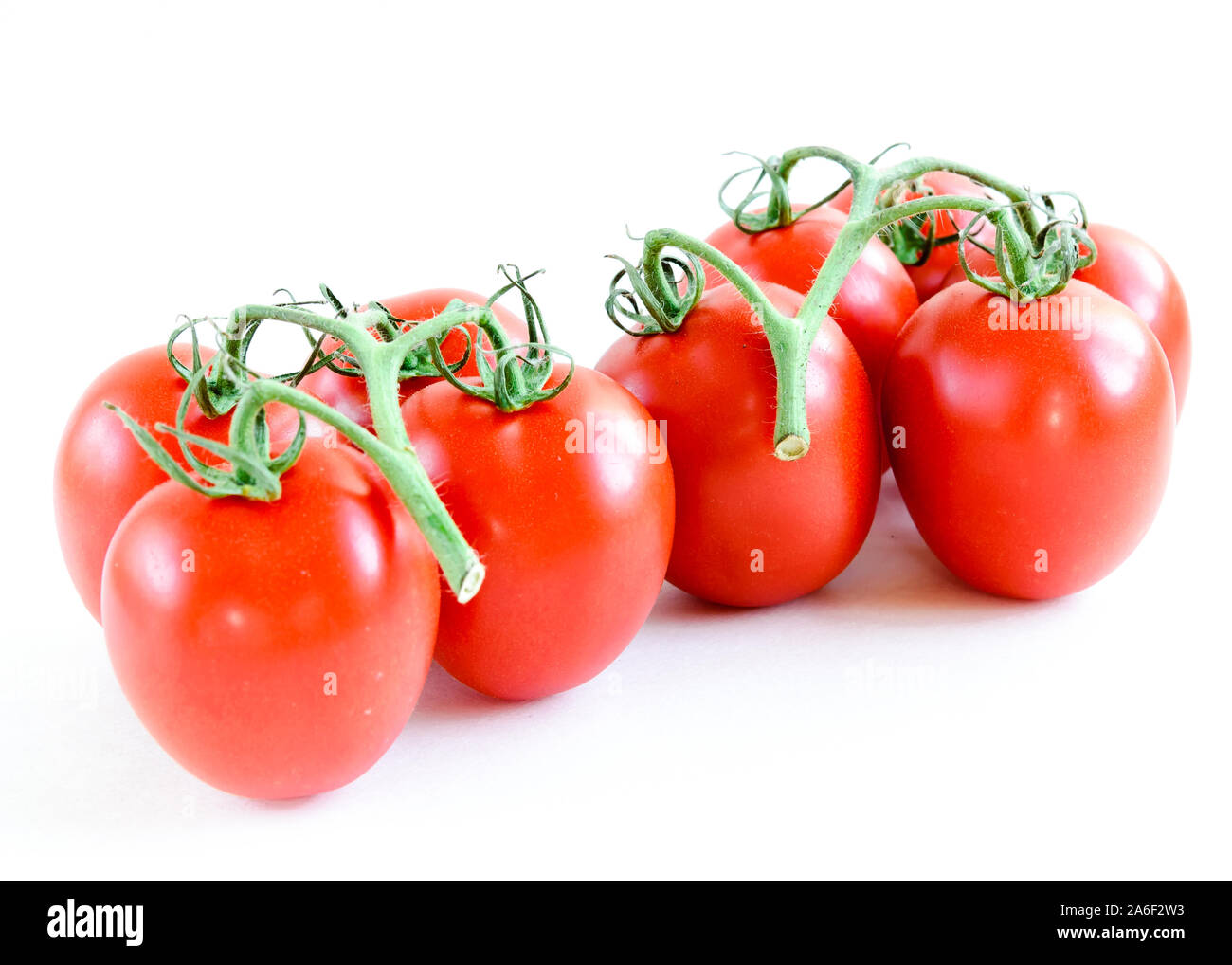 Studio shot organic a cluster of vine ripened Roma tomatoes isolated on ...