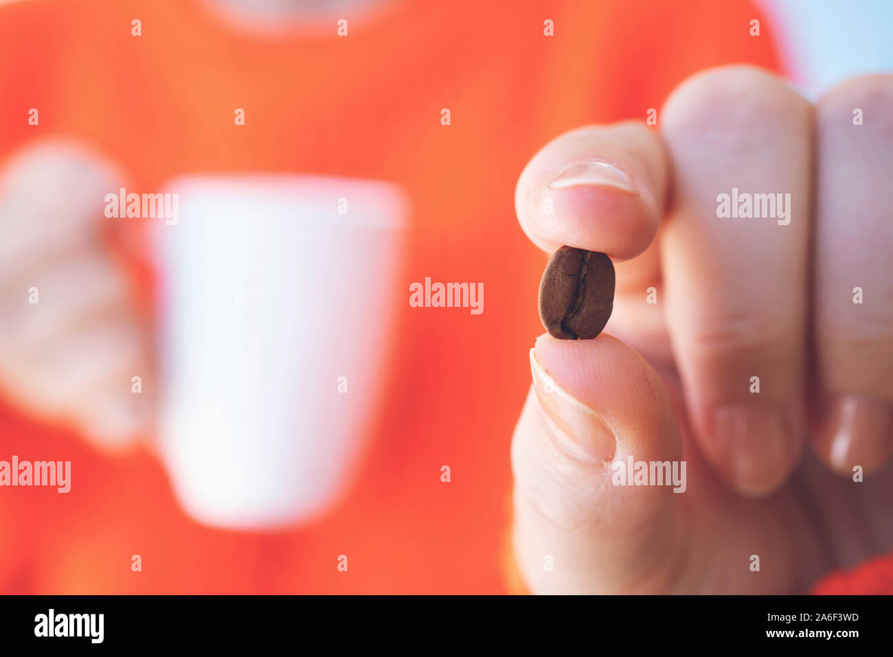 roasted coffee beans on hand, hand holding coffee bean, coffee beans ...