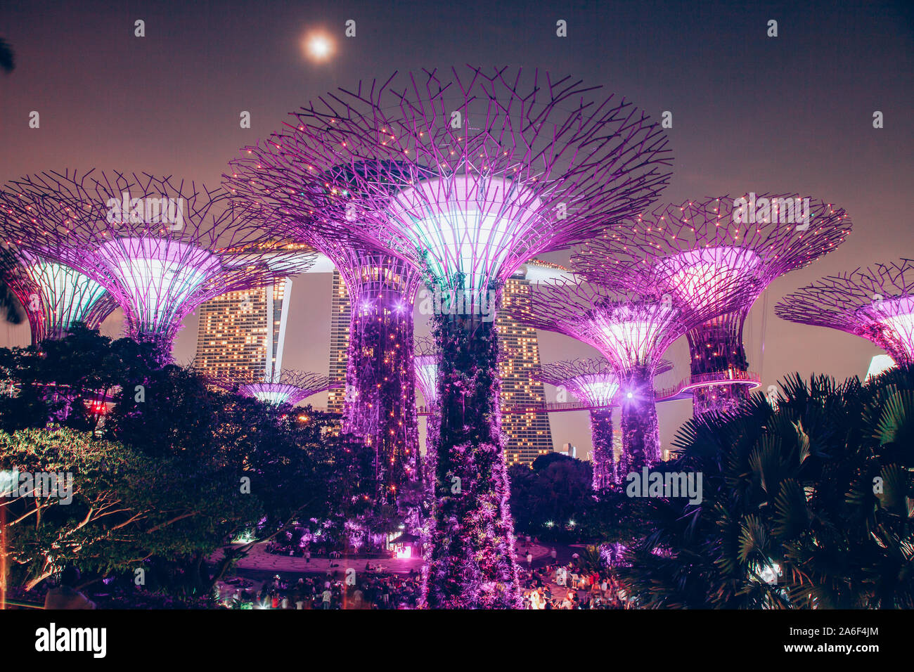SINGAPORE, SINGAPORE - MARCH 2019: Supertrees illuminated for light ...