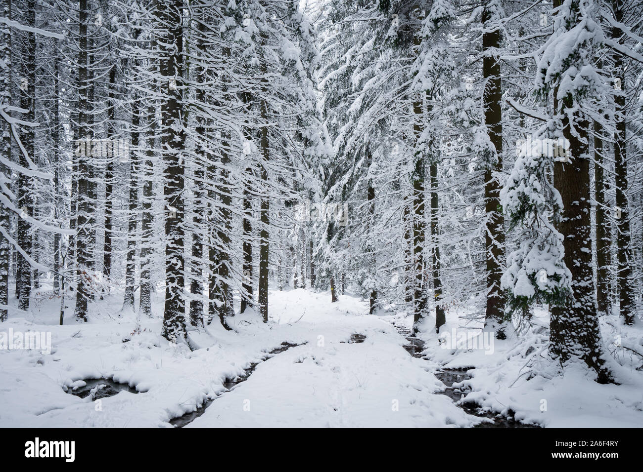 Liberec Region is an administrative unit of the Czech Republic, located ...