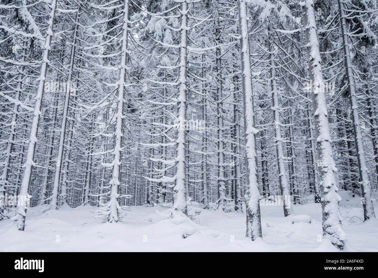 Liberec Region is an administrative unit of the Czech Republic, located ...