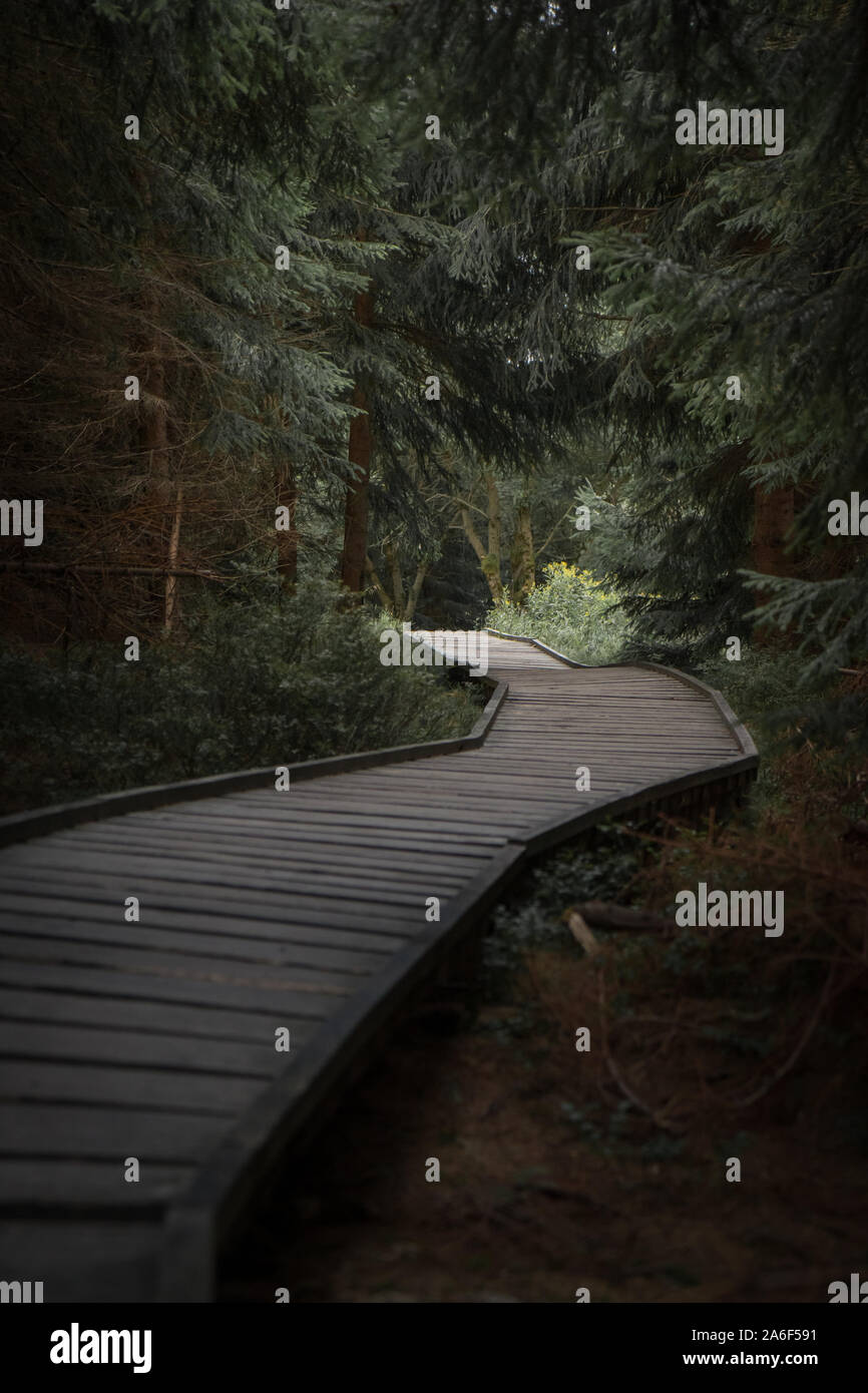 The Krkonose Mountains are a geomorphological complex and the highest ...