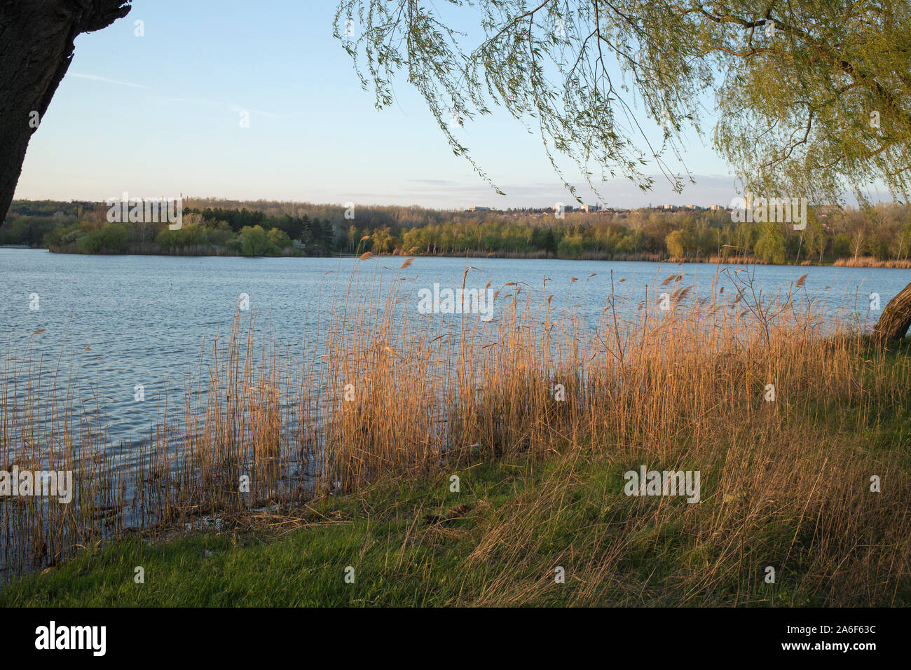 Sculeni hi-res stock photography and images - Alamy