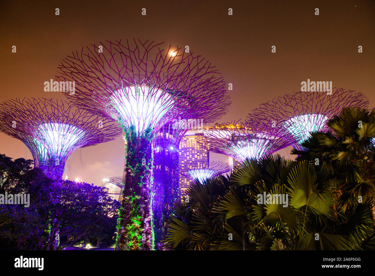 SINGAPORE, SINGAPORE - MARCH 2019: Supertrees illuminated for light ...