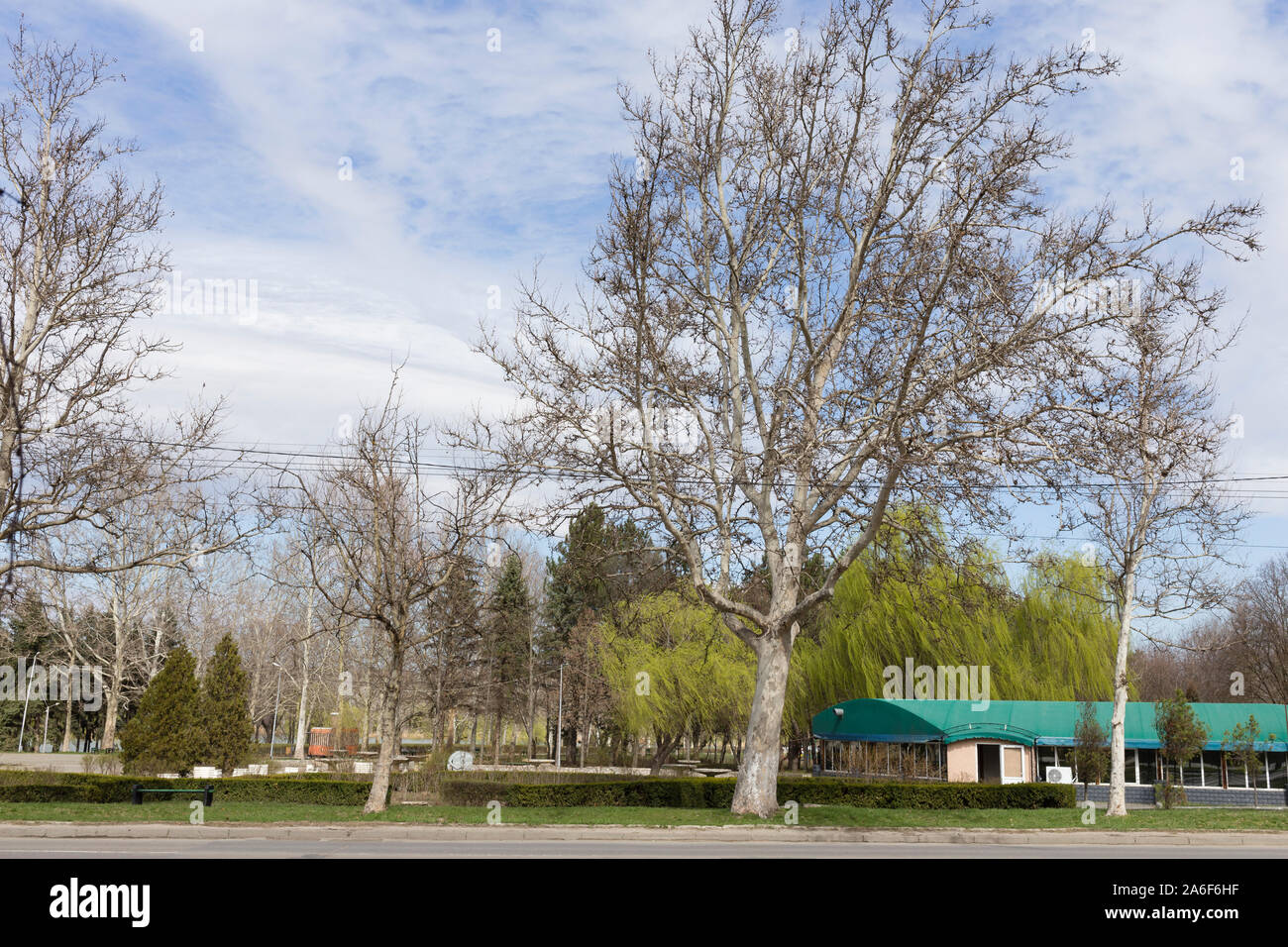 Early spring in the park. There are trees and a pavilion with the green ...
