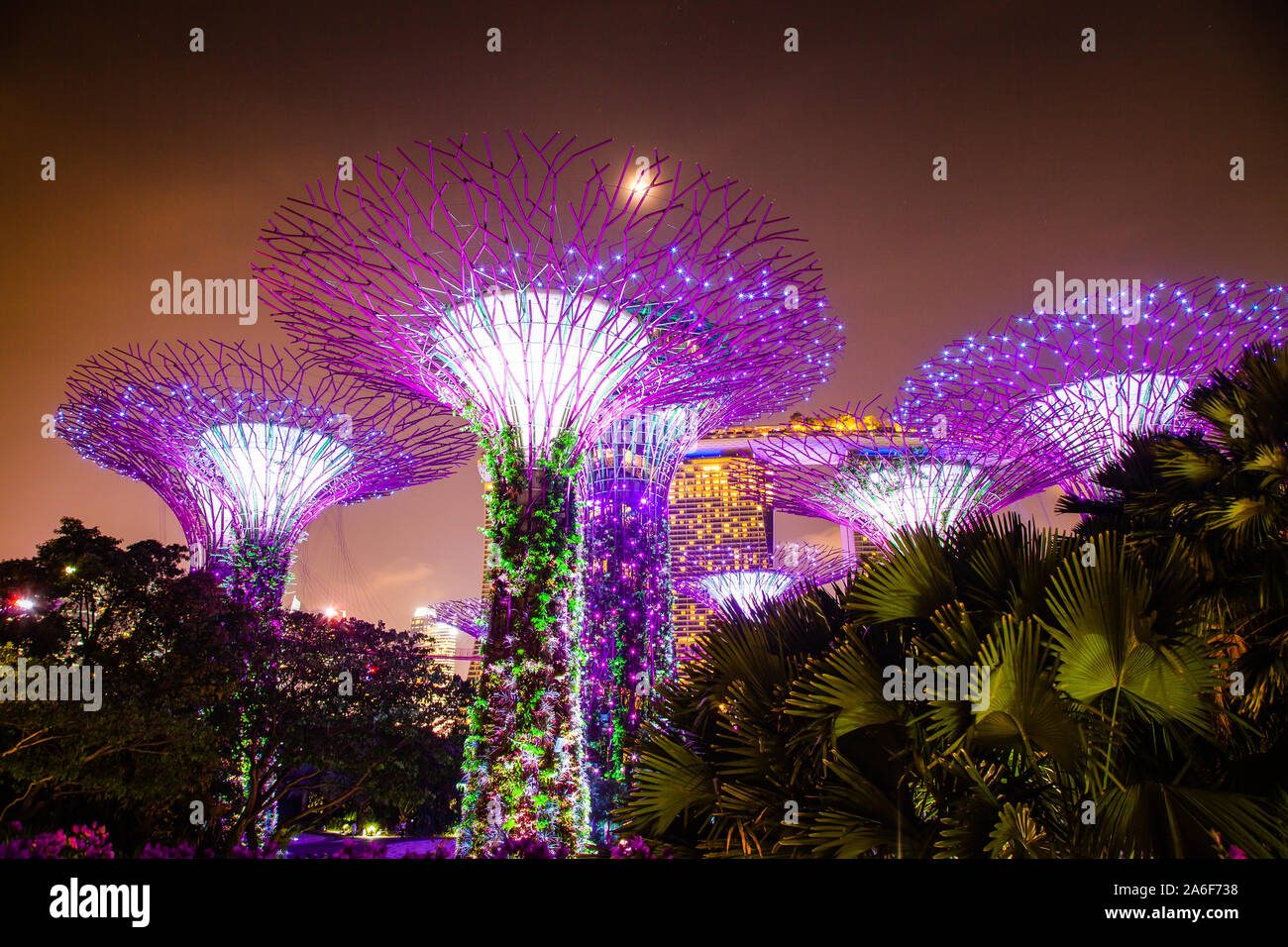 SINGAPORE, SINGAPORE - MARCH 2019: Supertrees illuminated for light ...