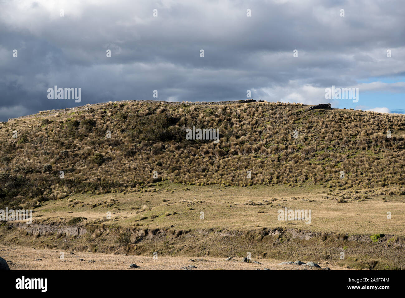 Inca ruins Pucara Salitre in Cotopaxi National Park in Ecuador Stock ...