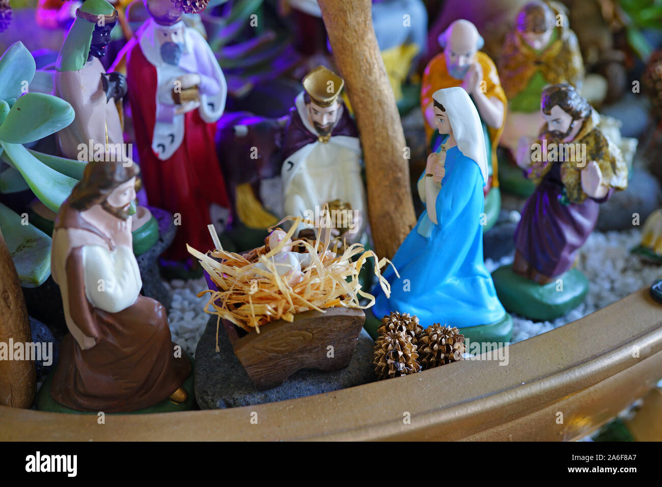 A small creche nativity scene display with tropical plants at Christmas ...