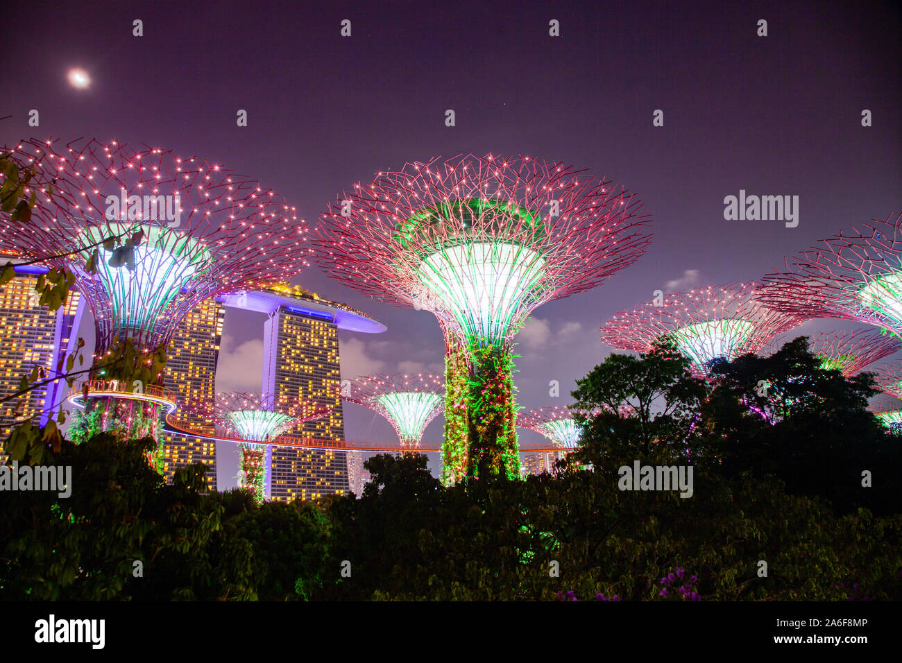 SINGAPORE, SINGAPORE - MARCH 2019: Supertrees illuminated for light ...