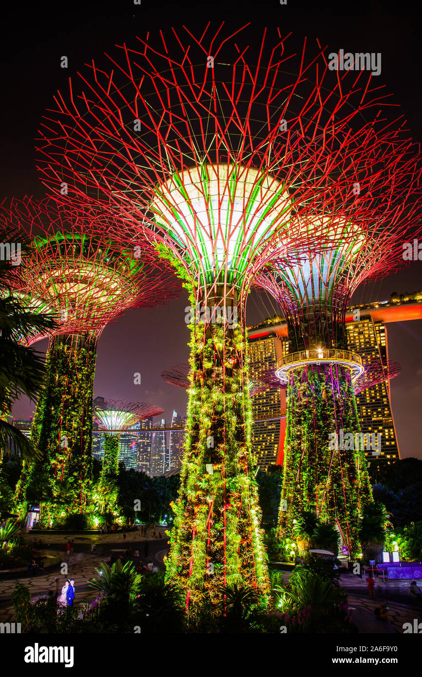 SINGAPORE, SINGAPORE - MARCH 2019: Supertrees illuminated for light ...