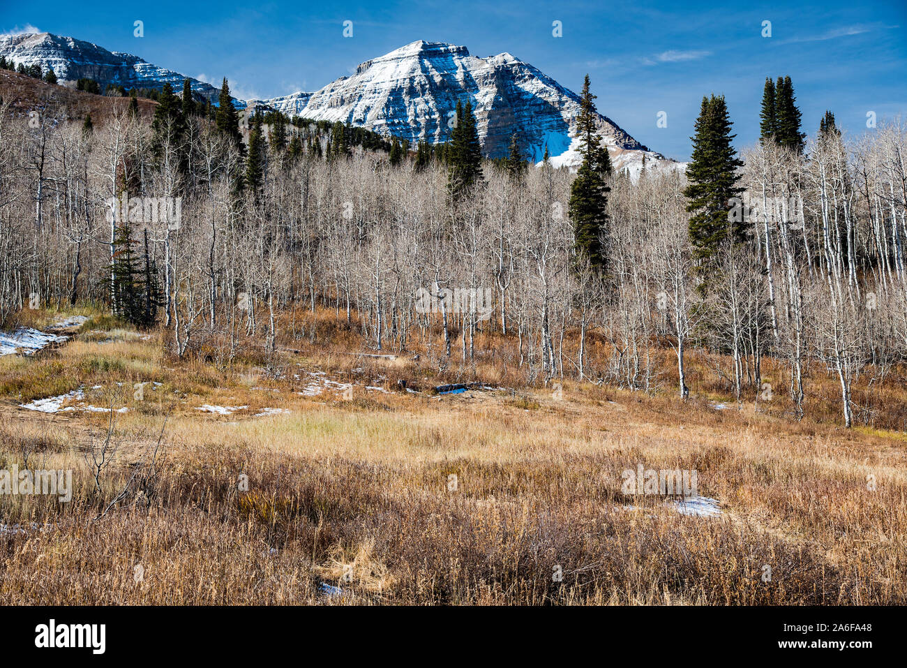 Mount Timpanogos in the Wasatch Range of Rocky Mountains. This scenic ...