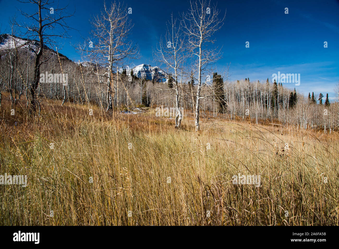Mount Timpanogos in the Wasatch Range of Rocky Mountains. This scenic ...
