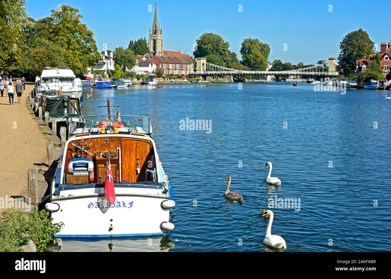 On the river Thames - at Marlow - river boats moored - swans - backdrop ...