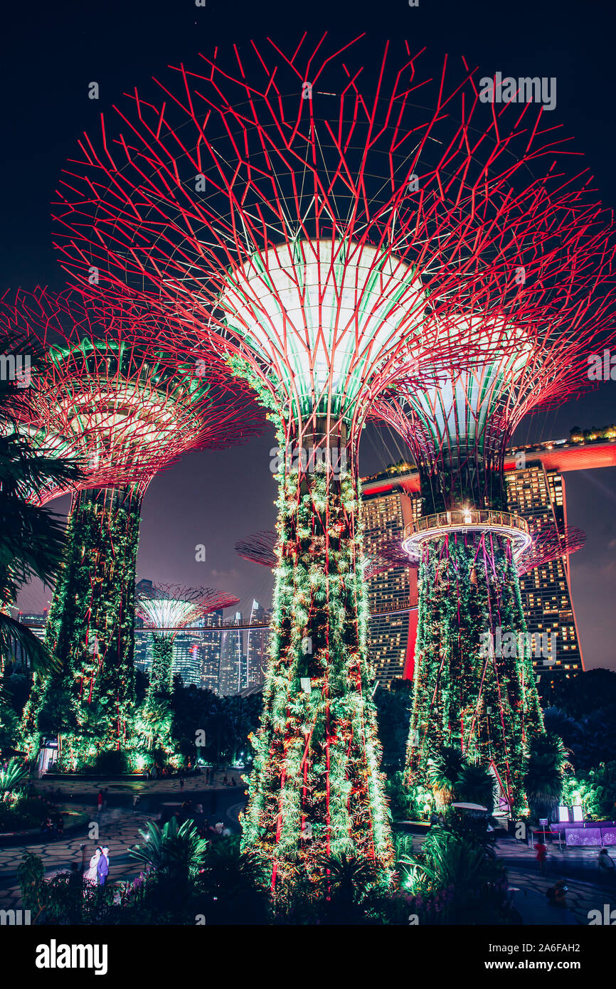 SINGAPORE, SINGAPORE - MARCH 2019: Supertrees illuminated for light ...