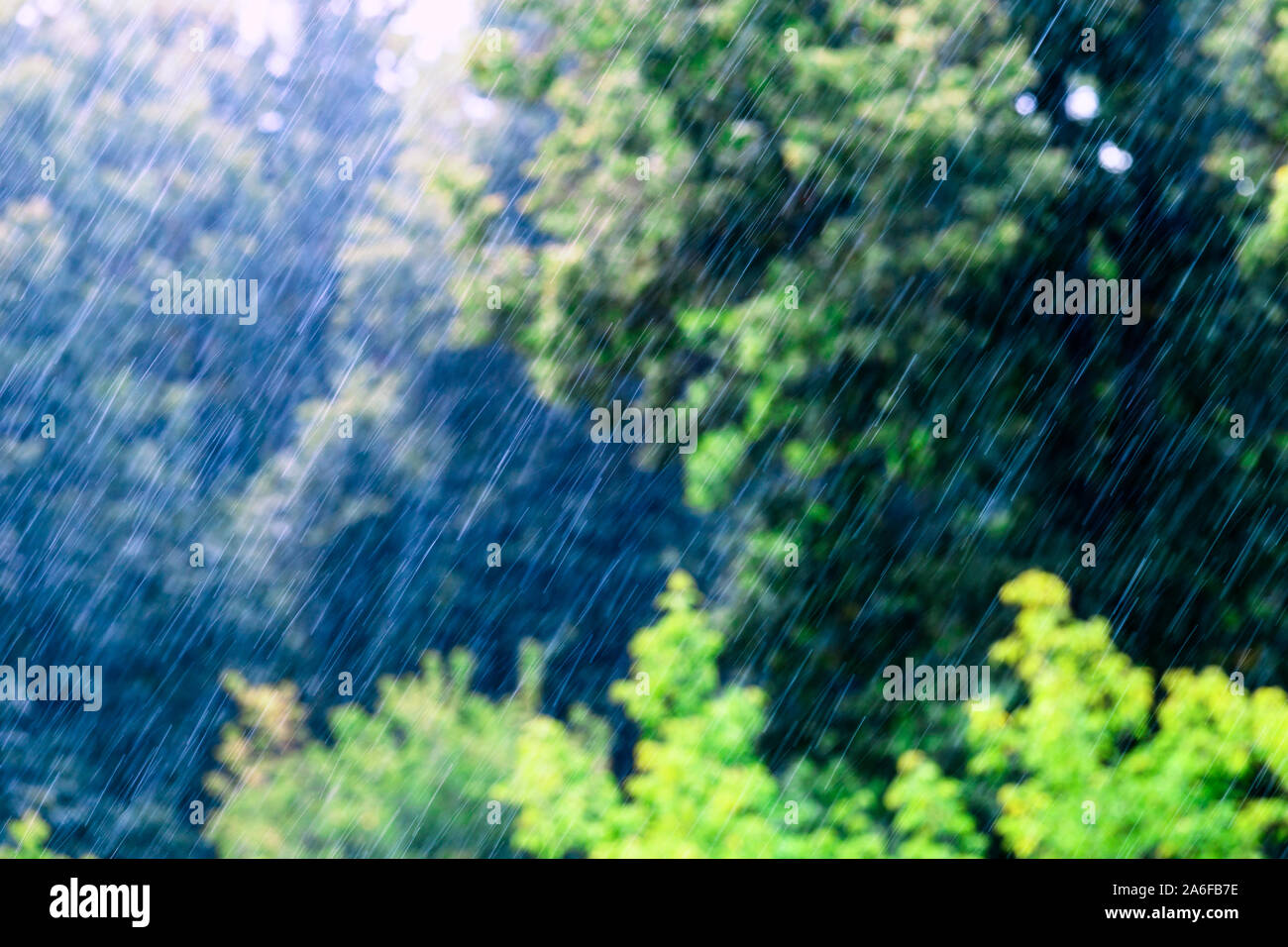 long and fast rain drops falling in green forest at sunny and windy ...