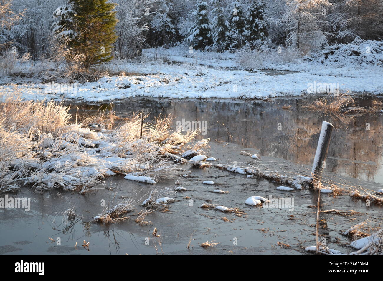 Cold winter day by partially frozen river in northern Ontario Stock ...