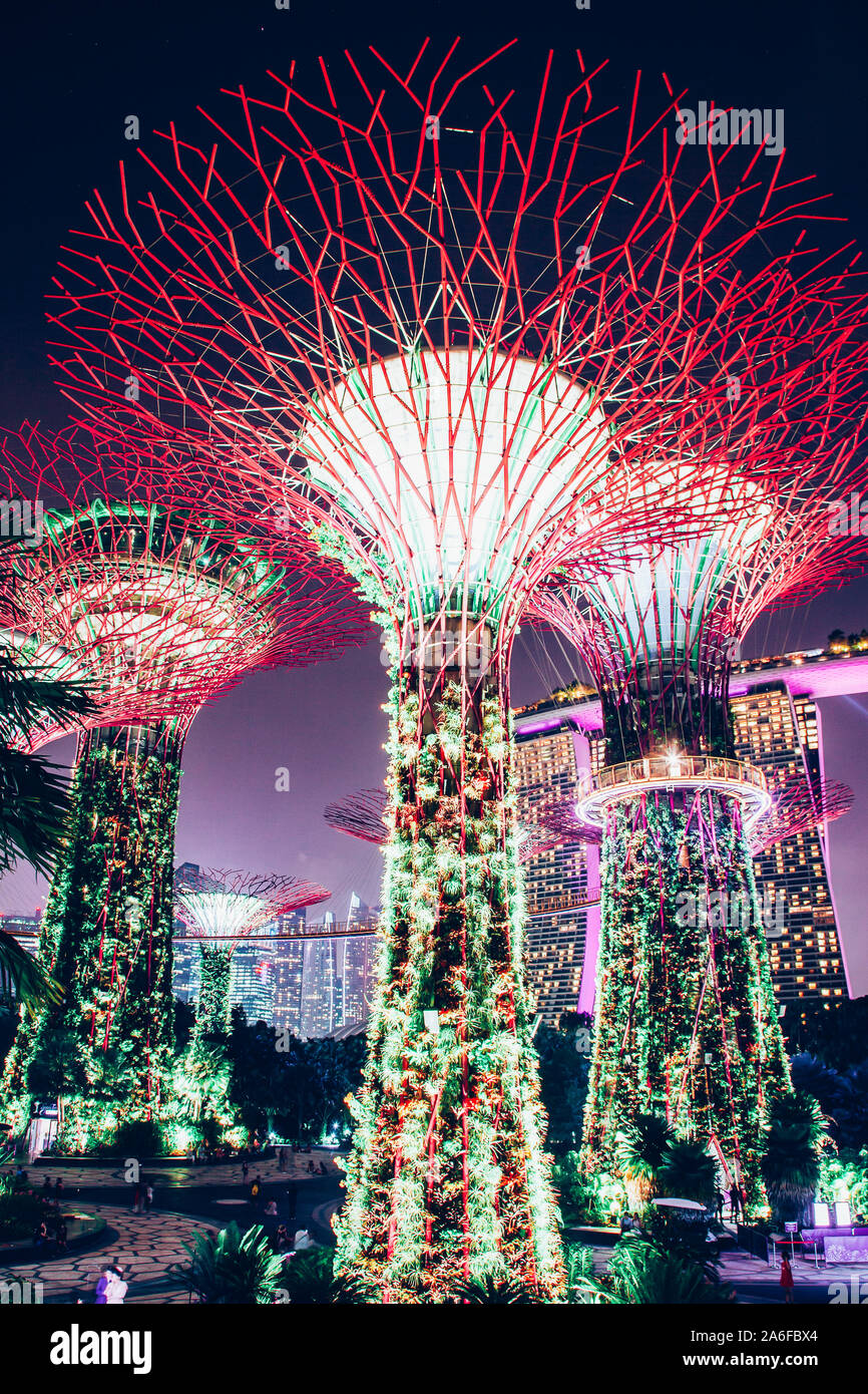 SINGAPORE, SINGAPORE - MARCH 2019: Supertrees illuminated for light ...