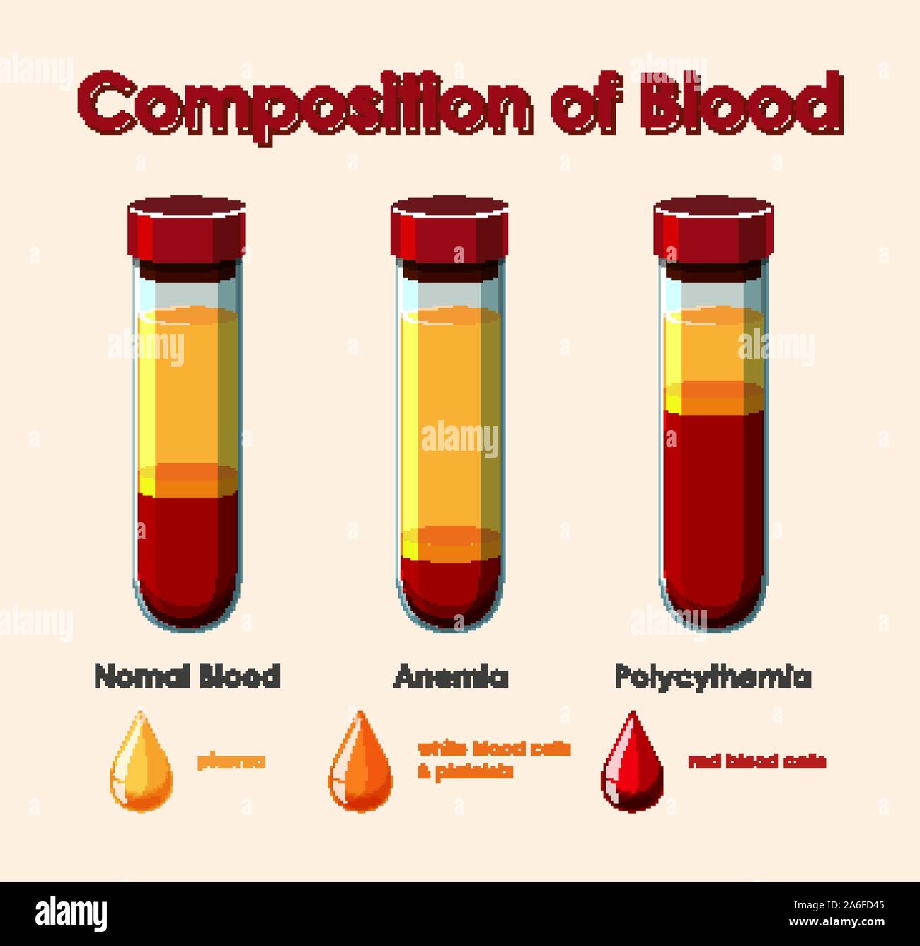 Diagram showing composition of blood illustration Stock Vector Image ...