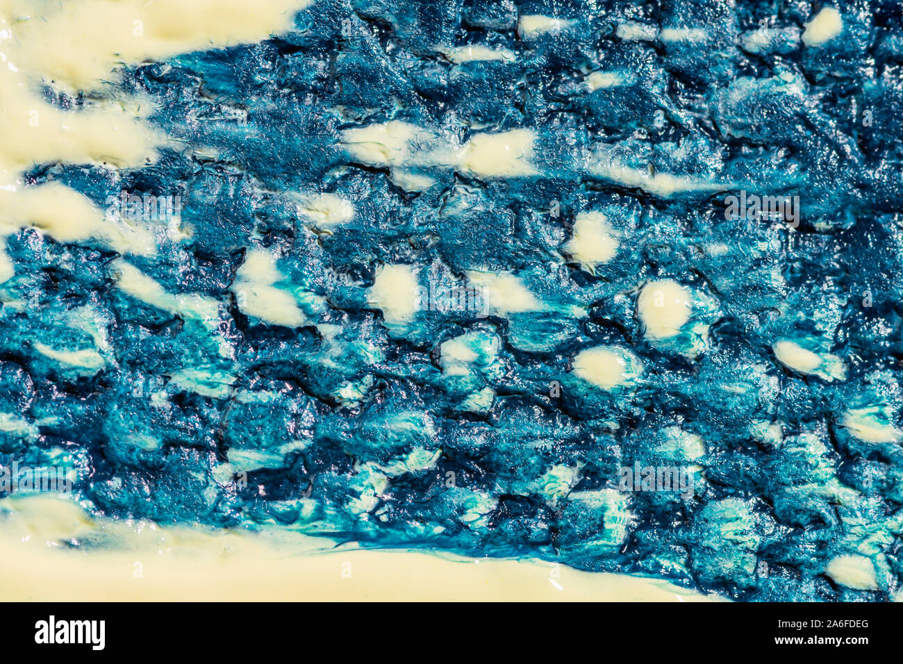 abstract background with dark blue color, textured template design ...