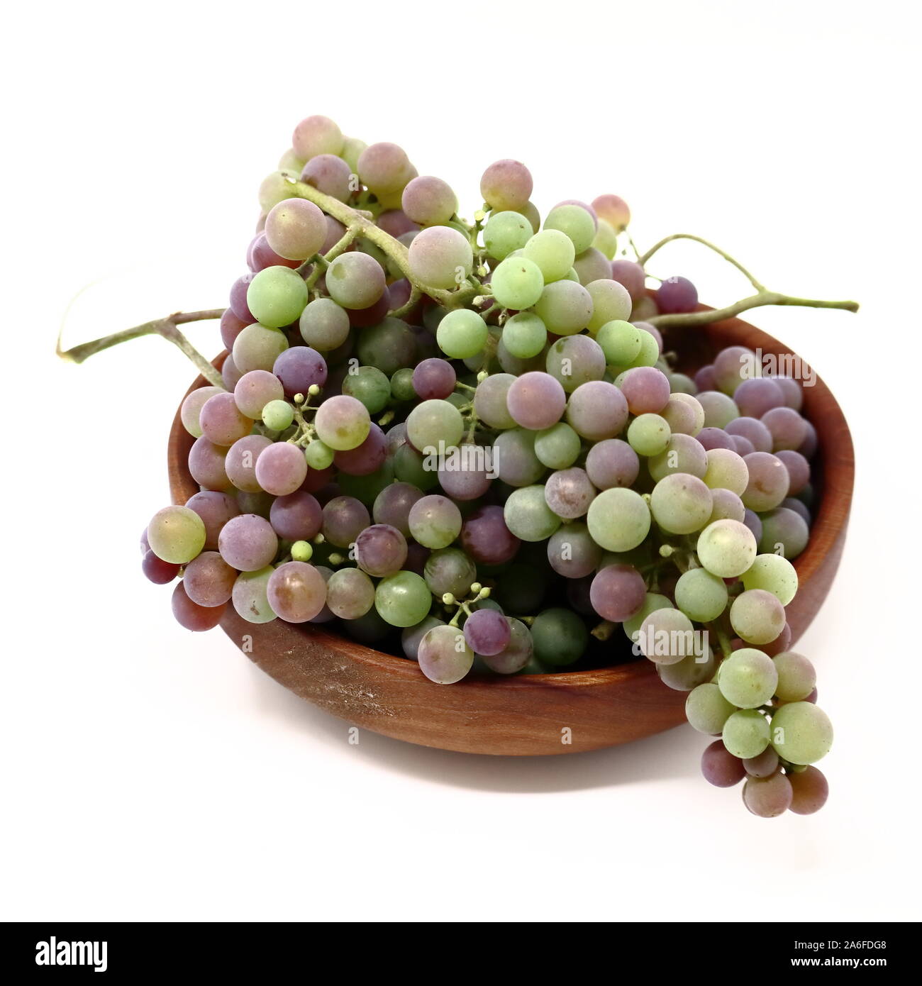 Himrod grape hi-res stock photography and images - Alamy