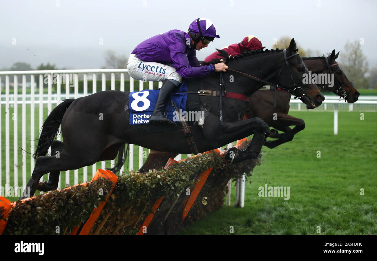 Burrows park horse hi-res stock photography and images - Alamy