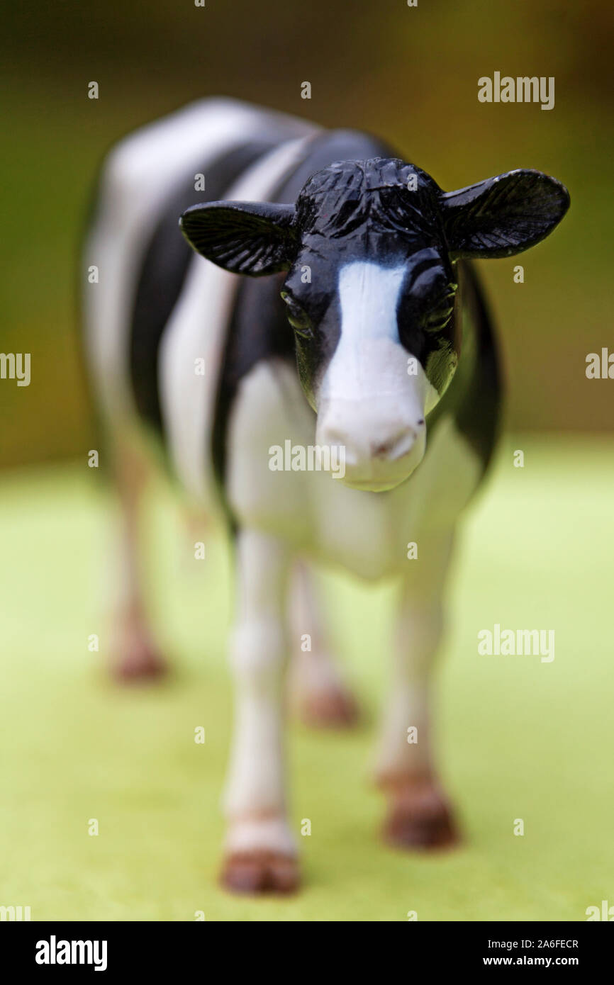 Plastic cow toy hi-res stock photography and images - Alamy