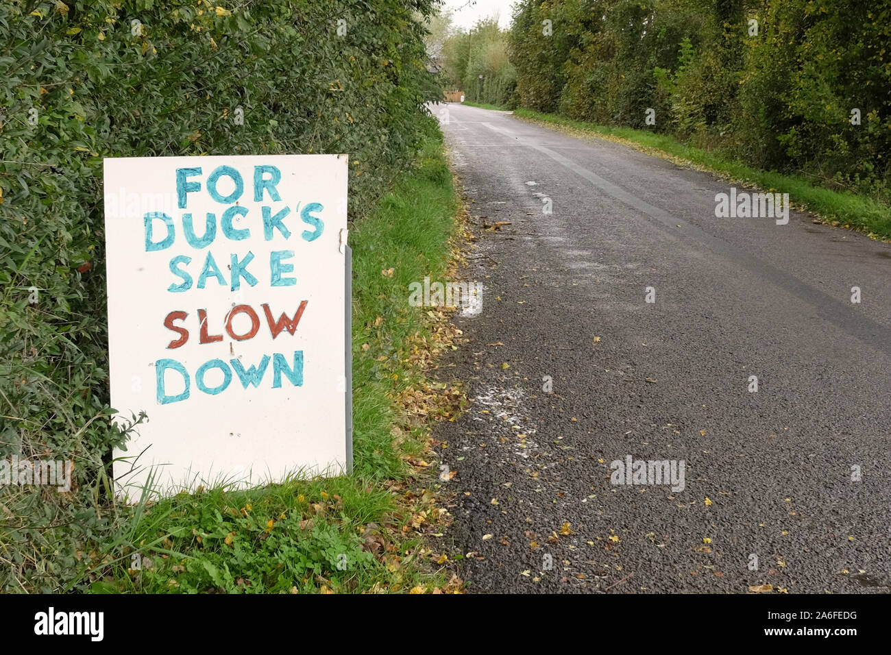 October 2019 - Sign to get motorists to slow down through a Somerset ...