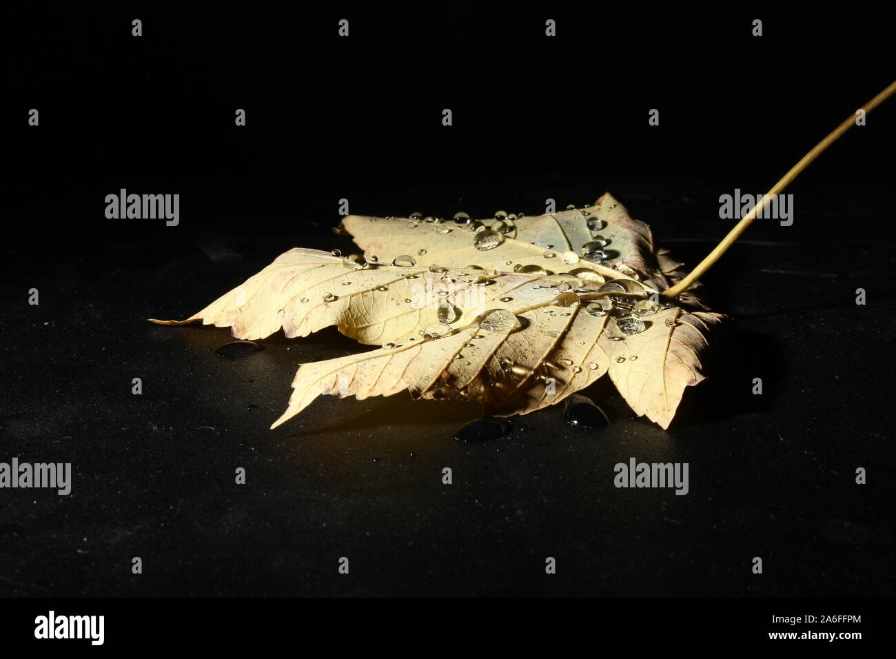 Simple photos hi-res stock photography and images - Alamy
