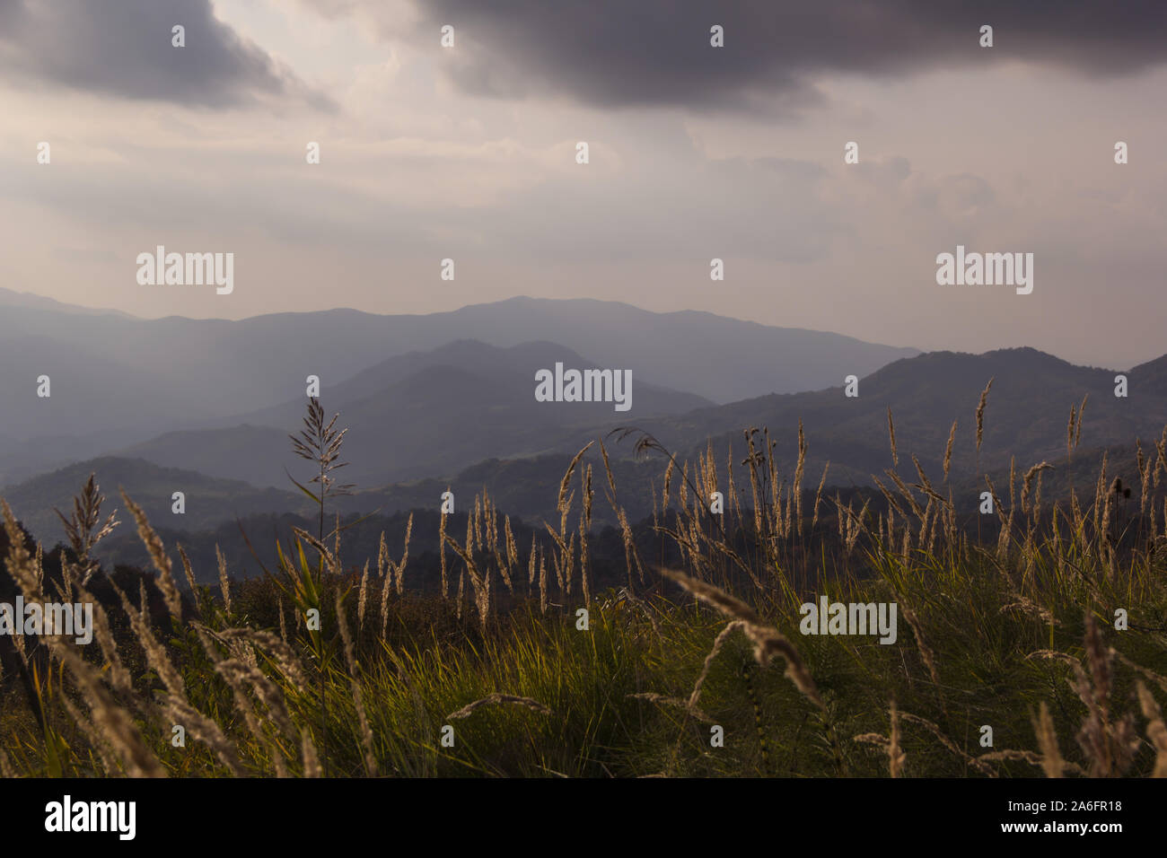 Landscape of ancient Kakheti, from the pass views of the Alazani Valley ...