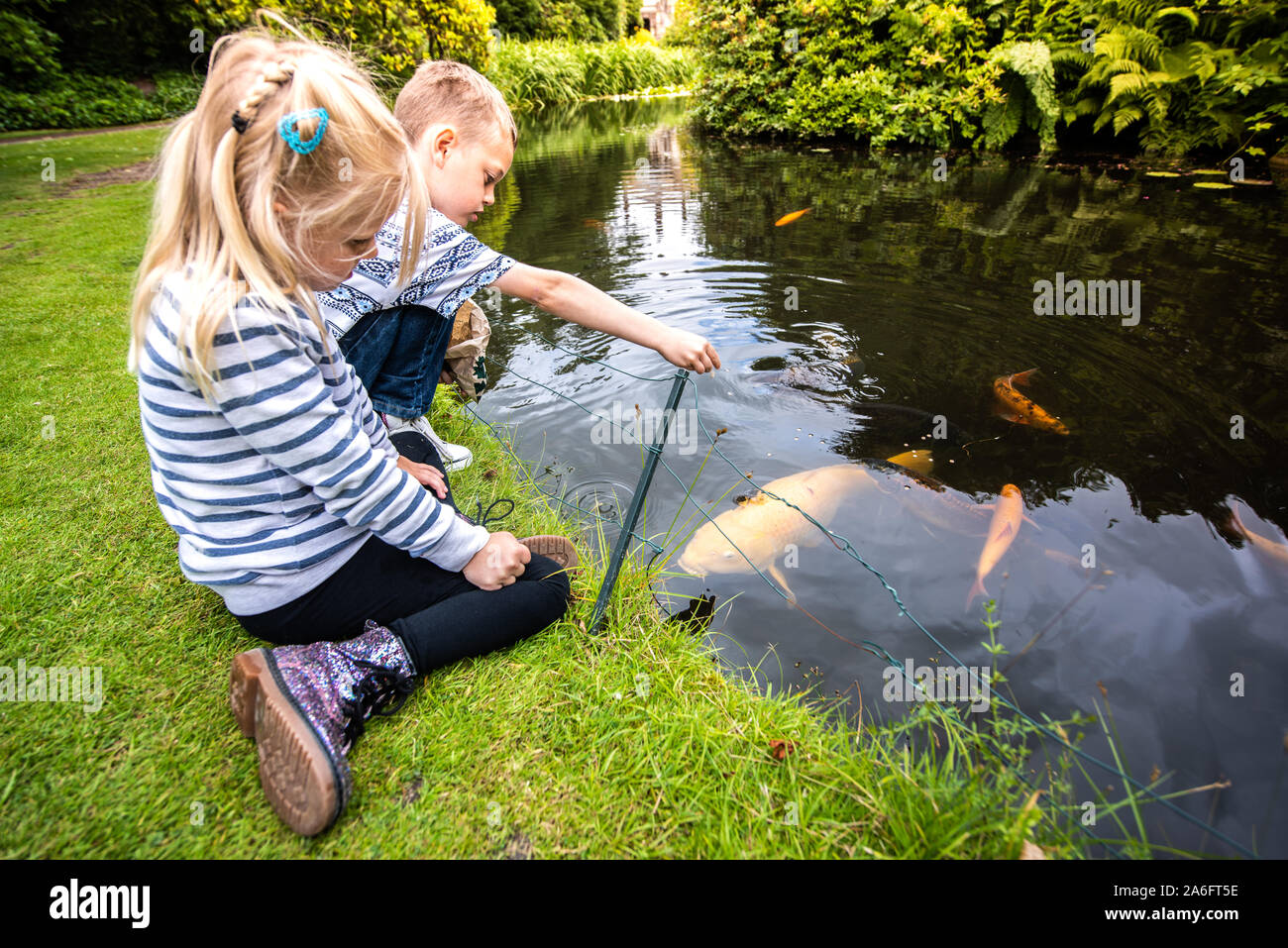 A handsome little boy with ADHD, Autism, Aspergers syndrome feeds fish ...