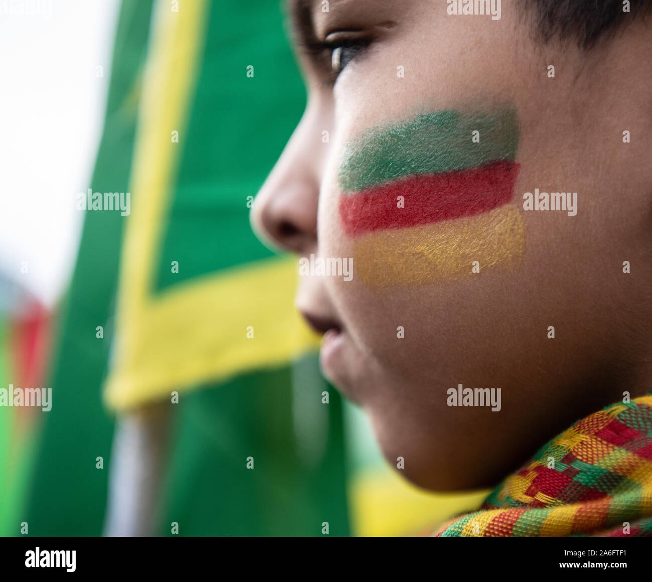 Berlin, Germany. 26th Oct, 2019. A young participant of a demonstration ...