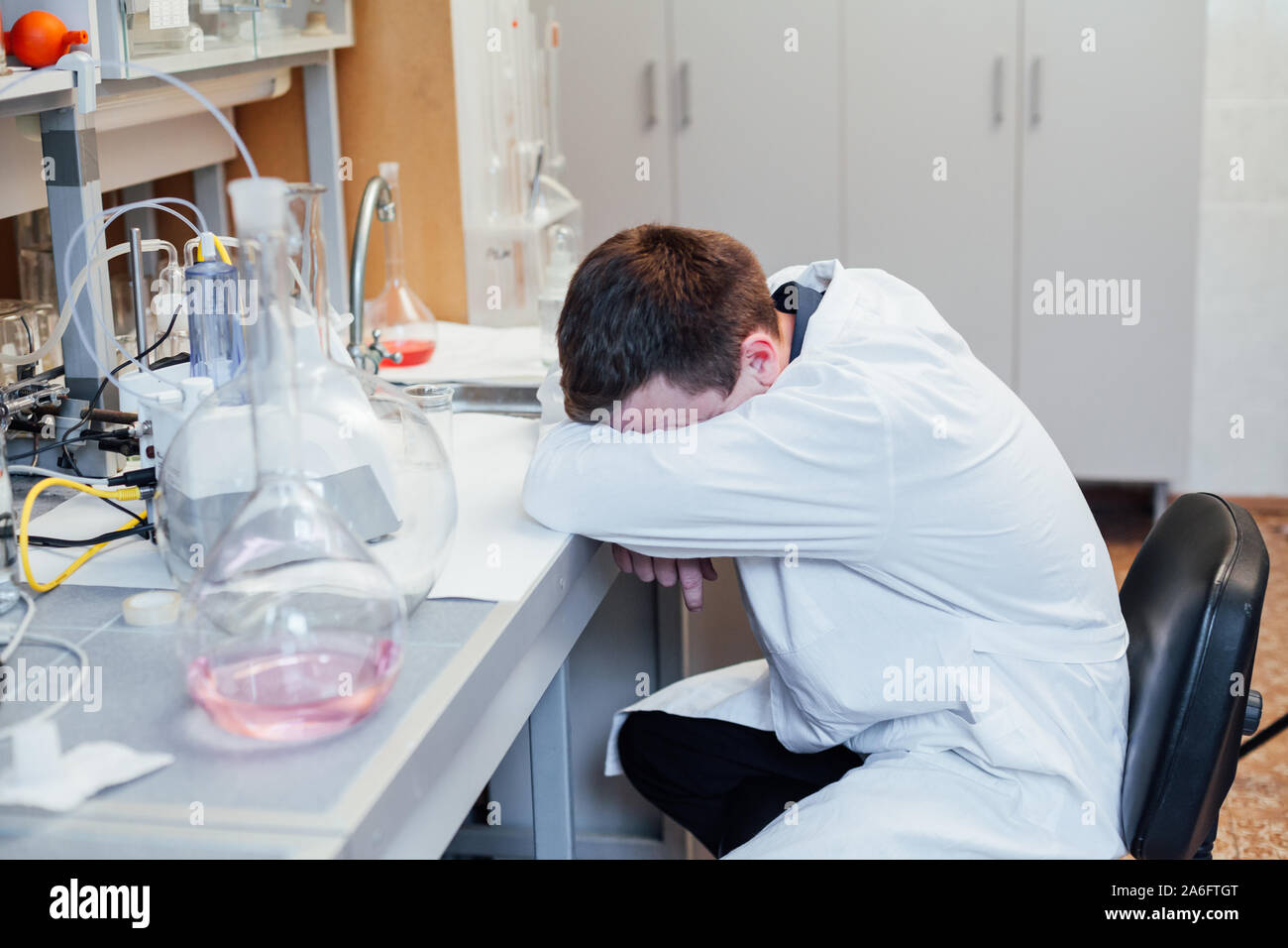 Sleeping Laboratory High Resolution Stock Photography and Images - Alamy