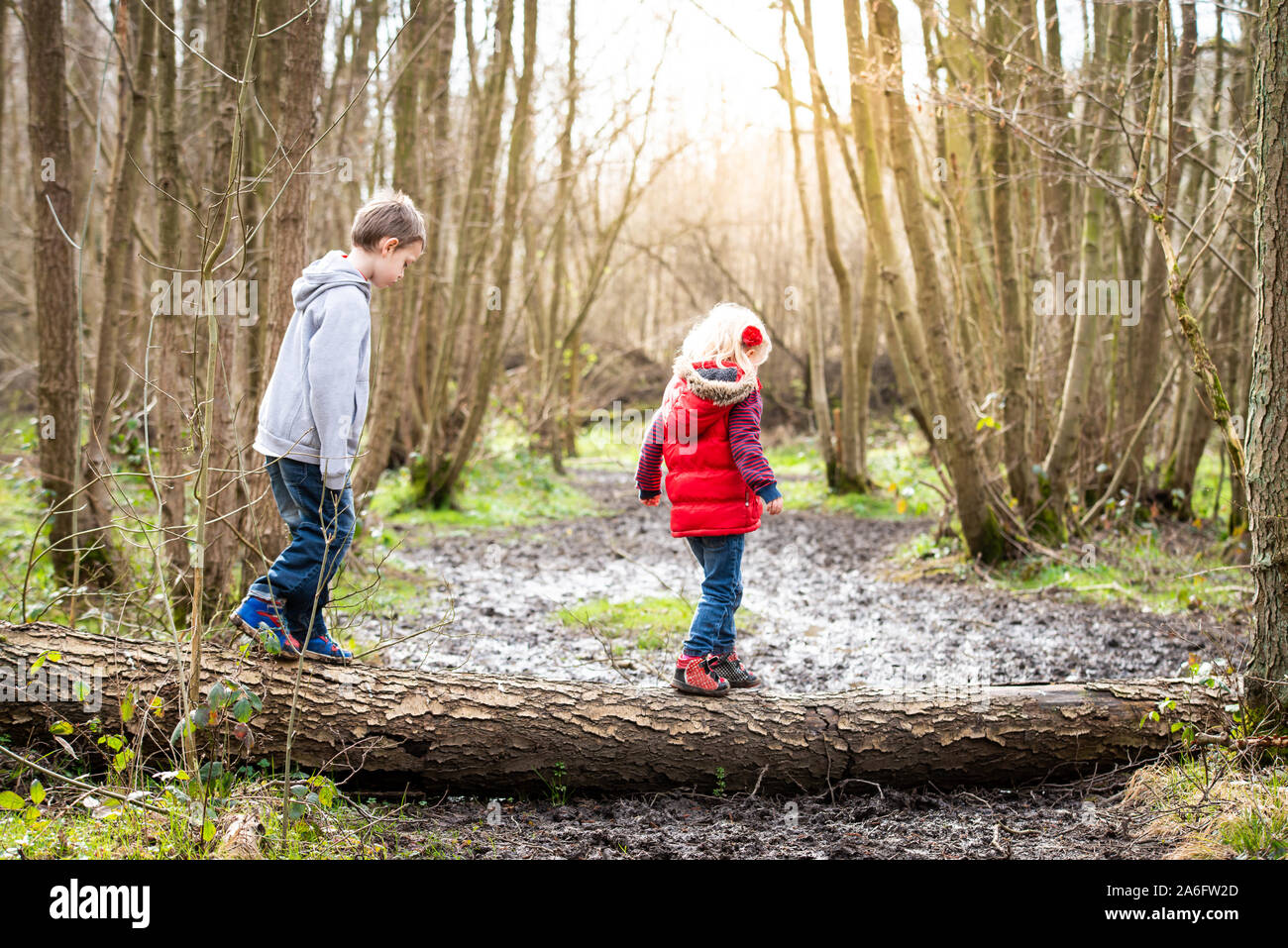 A handsome boy with ADHD, Autism, Asperger Syndrome plays with his ...