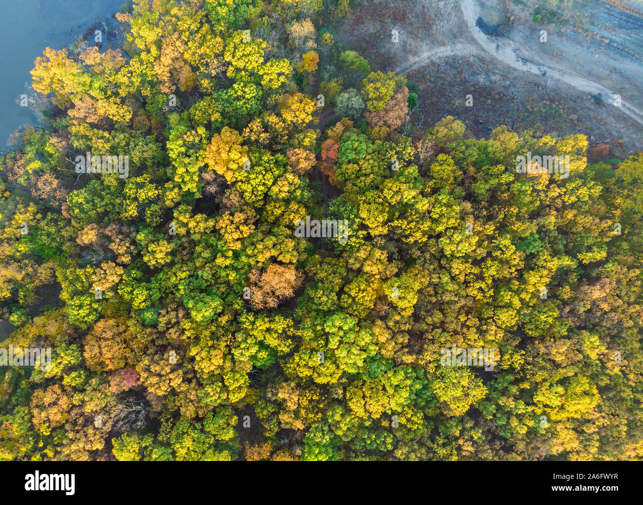 Aerial view fall trees low hi-res stock photography and images - Alamy