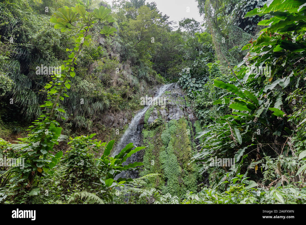 Saint Vincent and the Grenadines, Dark View Falls waterfall Stock Photo ...