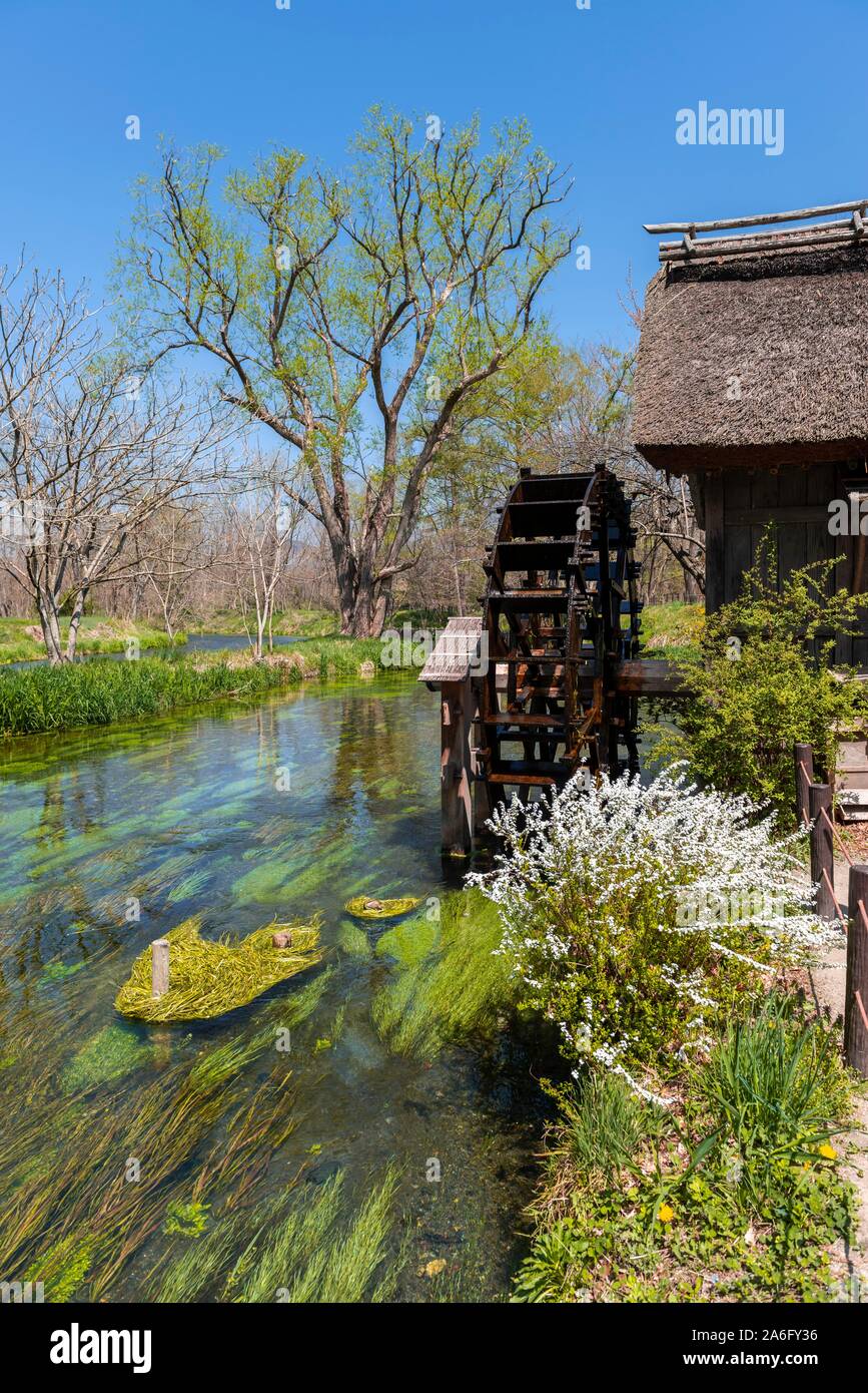 Water mill on a river, Daio Wasabi Farm, Nagano, Japan Stock Photo - Alamy